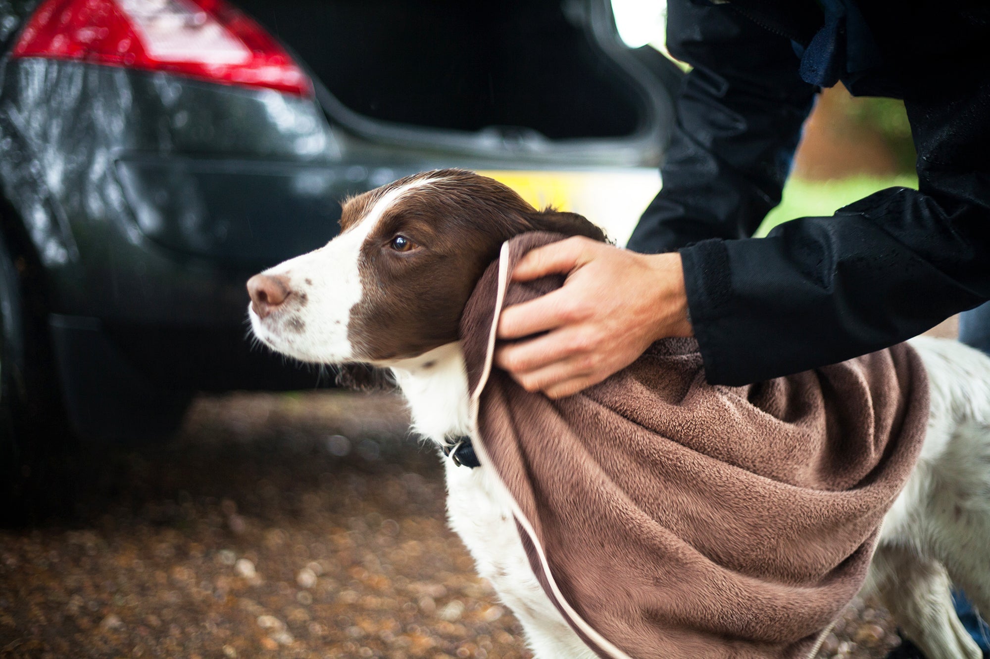 Pet Grooming – E-Cloth UK